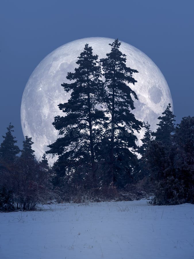 Winter Scenery Night with Full Moon Stock Image - Image of moon, winter ...
