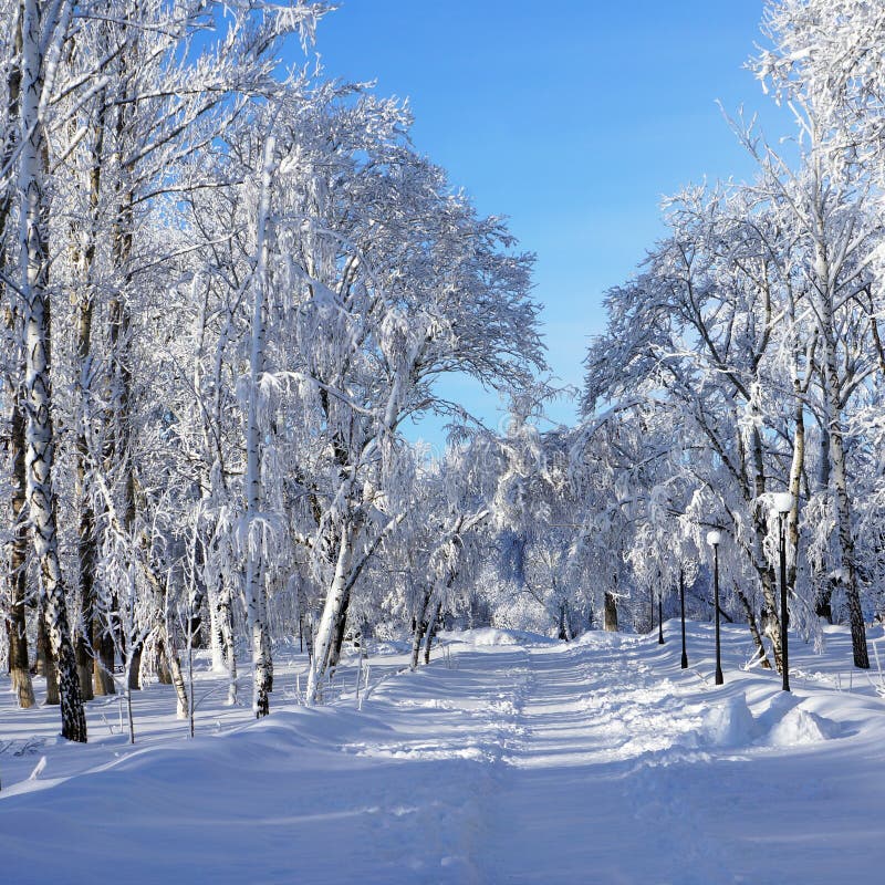 Winter scenery stock photo. Image of beautiful, scene - 34291276
