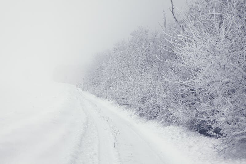 Snowy blizzard stock photo. Image of nature, frozen - 166959206