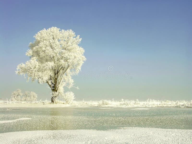 Winter Country Road with Frost Covered Trees Stock Image - Image of ...