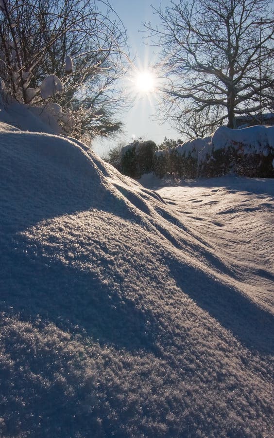 Winter scenery with sun stock photo. Image of scenery - 17398040