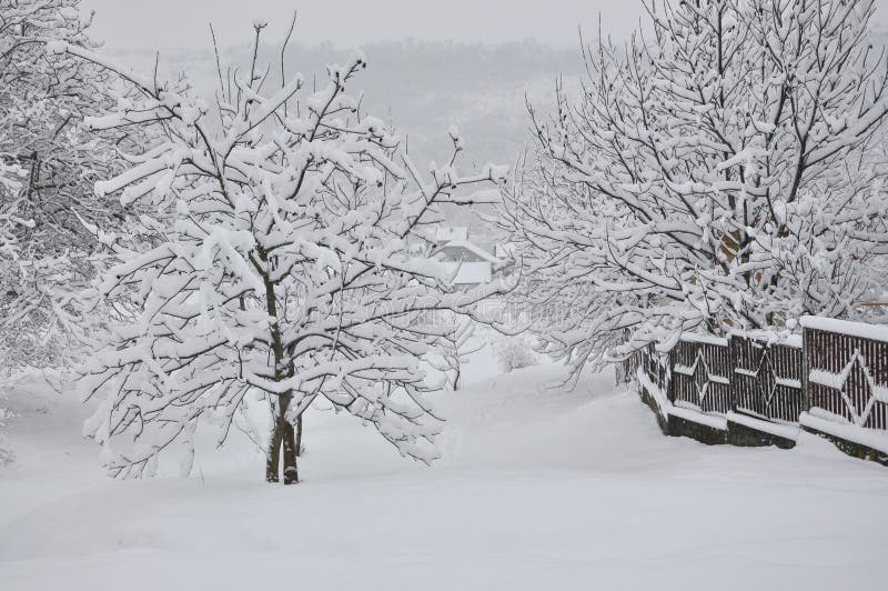 Winter Scenes after the First Snowfall Stock Image - Image of frozen ...