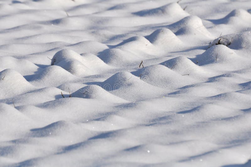 Winter Scenes after the First Snowfall Stock Photo - Image of surface ...