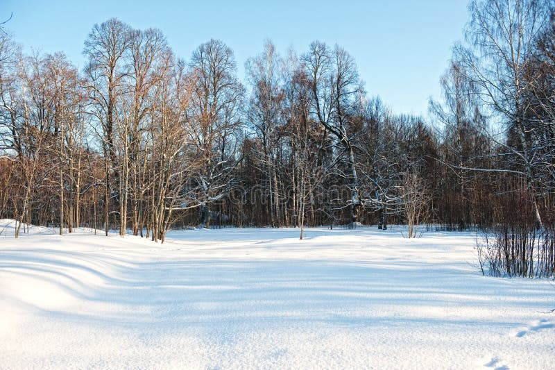 Winter scenic stock photo. Image of season, blue, january - 12574496