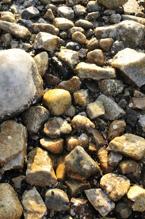 The Winter Sea Ice and Pebbles Stock Photo - Image of river, countries ...