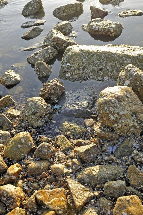 The Winter Sea Ice and Pebbles Stock Photo - Image of white, scene ...