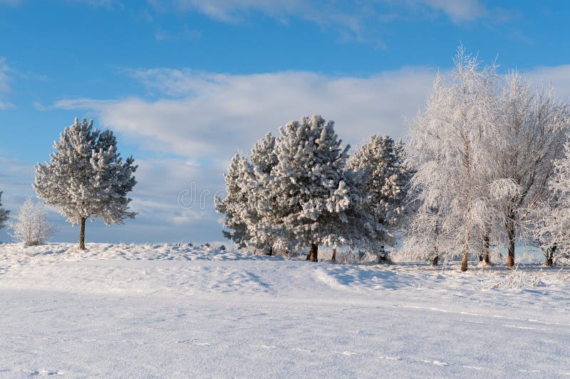 Winter season stock photo. Image of climate, frost, beautiful - 16831258