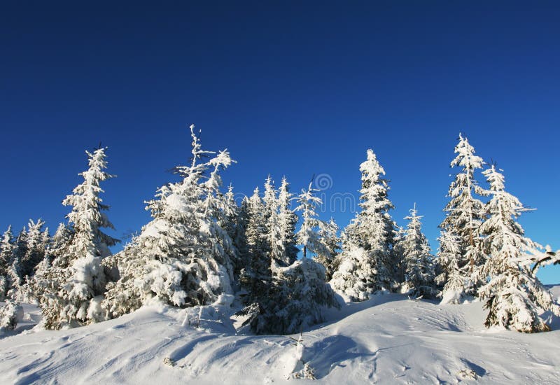 Winter season stock image. Image of christmas, weather - 9851767