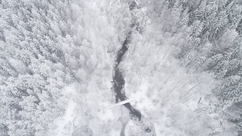 Winter Season Aerial Top Down View of a River, Forest and Bridge. Stock ...
