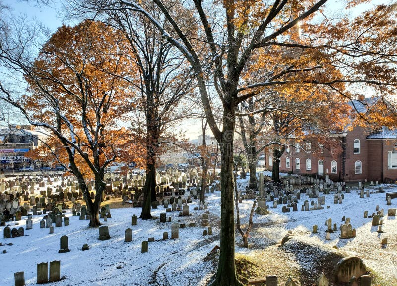 Winter Season Graveyard Peace Stock Image - Image of plant, peace ...