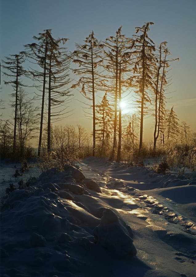 Winter shadow play stock image. Image of winter, snow - 14705559