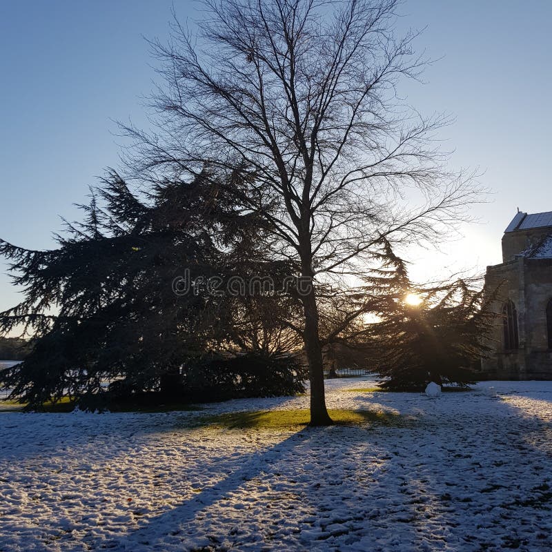 Winter shadow stock image. Image of sunlight, outdoors - 105814747