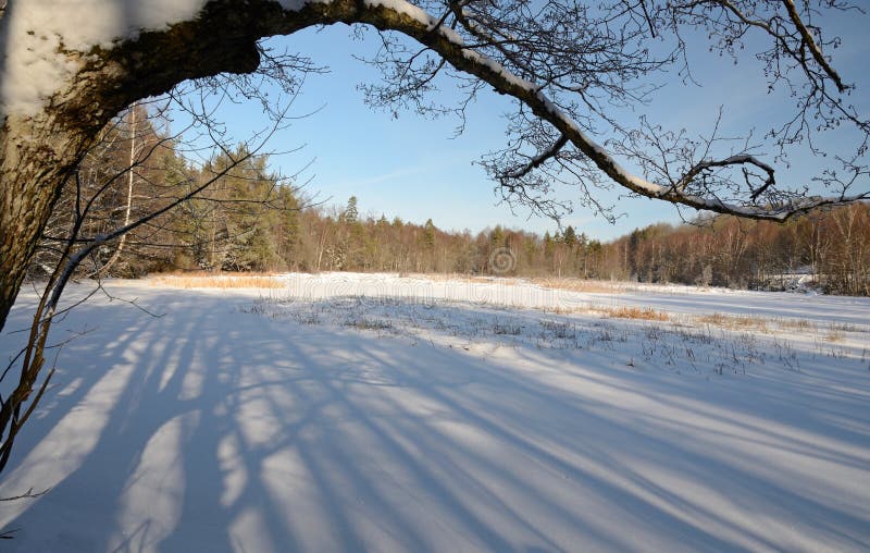 Winter shadows stock image. Image of frost, outdoors - 23361785