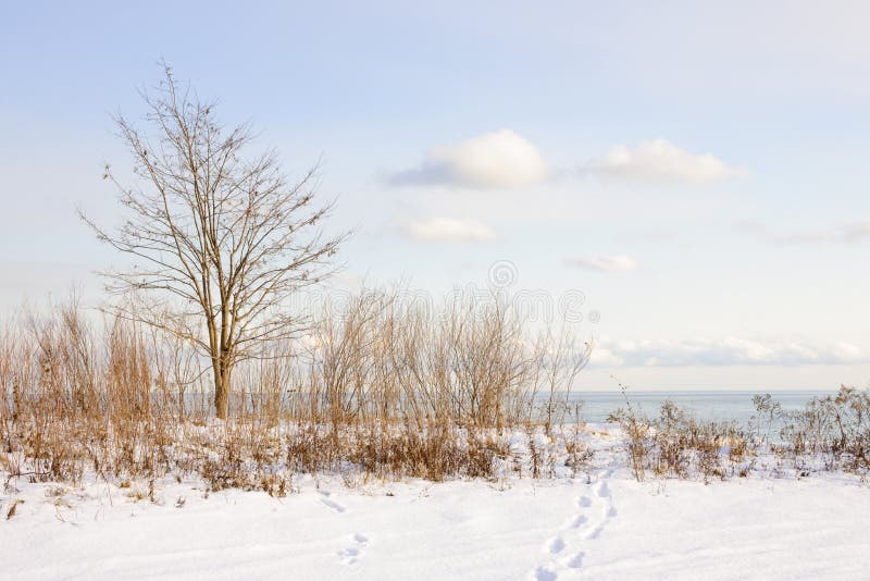 Snow Covered Rocky Shoreline in Late Winter, Blue Sky and Hills Stock ...