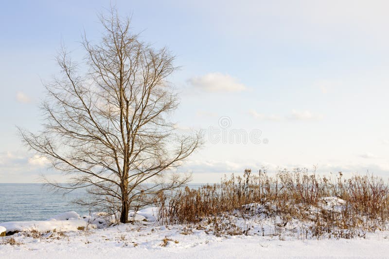 Winter Shore of Lake Ontario Stock Image - Image of snow, landscape ...