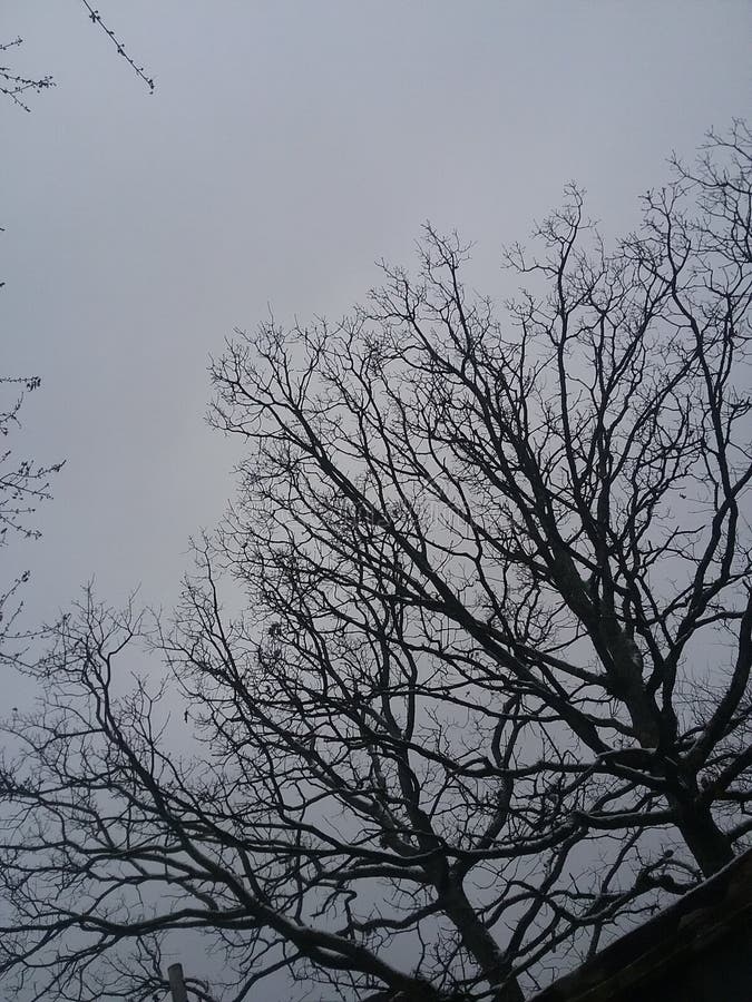 Winter Sky stock image. Image of beautiful, winter, snow - 117184545