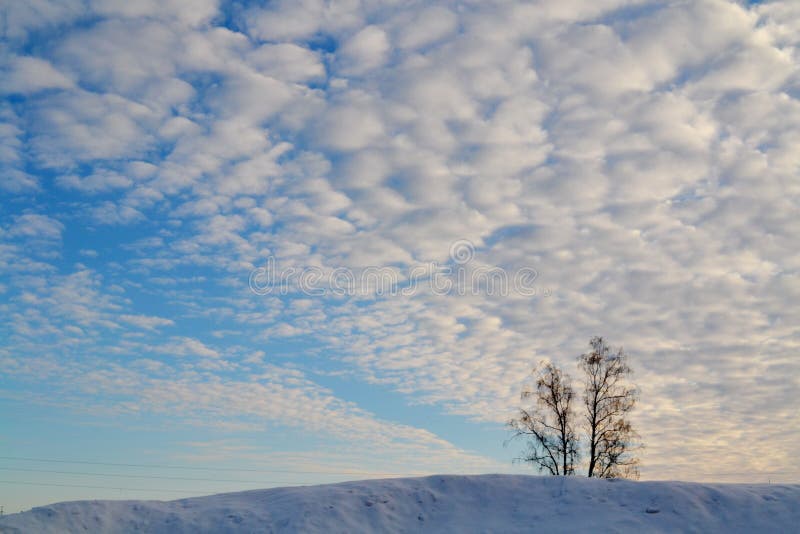 Winter sky stock image. Image of morning, trees, winter - 31926799