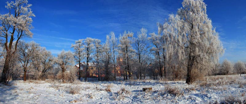 Winter, Sky, Ecosystem, Snow Picture. Image: 114227929