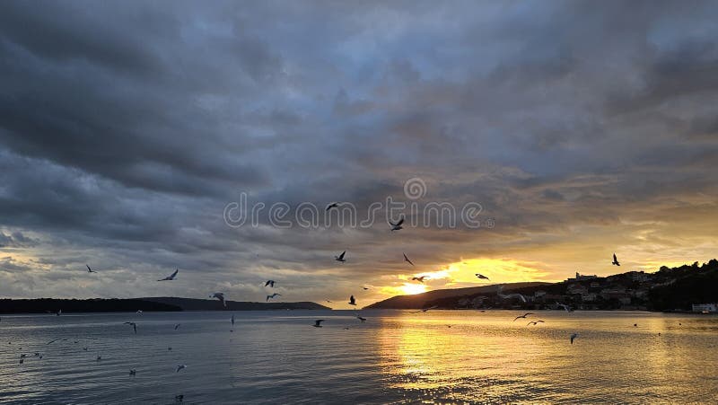 Winter sky and sunset stock photo. Image of bird, afterglow - 349545890