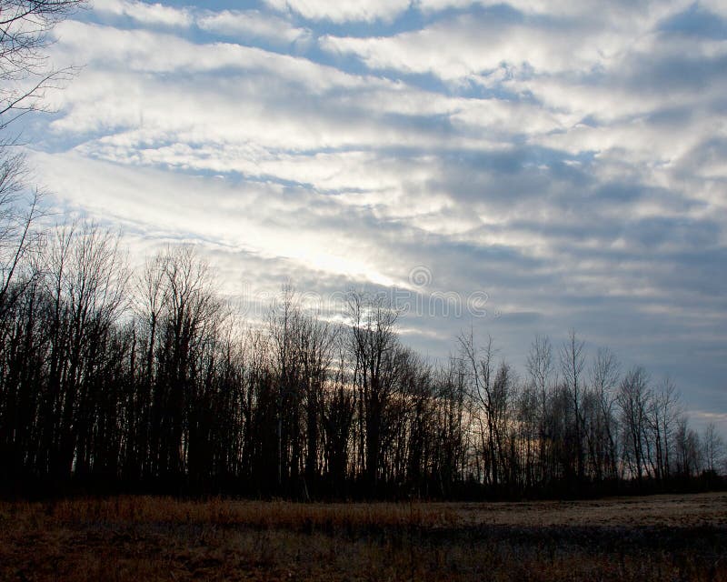 514 Treeline Dark Stock Photos - Free & Royalty-Free Stock Photos from ...