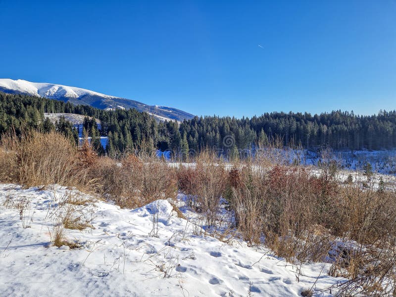 Winter in the Slovak Tatra Mountains Full of Snow. Stock Photo - Image ...