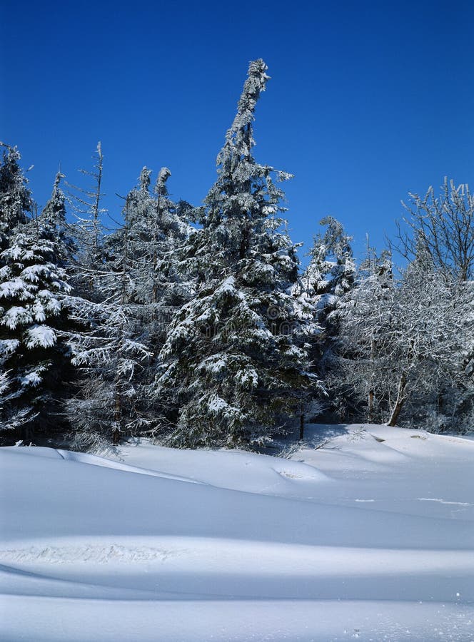 Winter Snapshot stock photo. Image of snow, outside, theme - 18724144