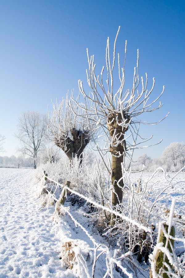 Winter Morning in the Yorkshire Dales - England Stock Photo - Image of ...