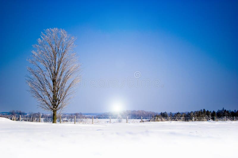 Winter and snow stock photo. Image of snow, lane, country - 7839240