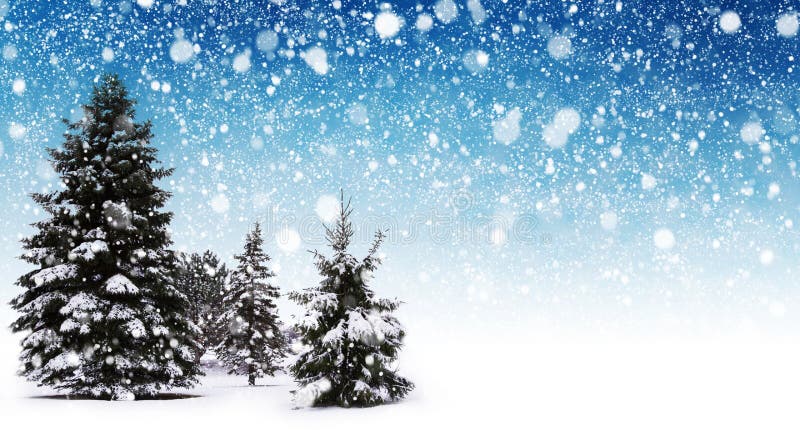 Winter snow abstract stock image. Image of blue, branch - 82353675