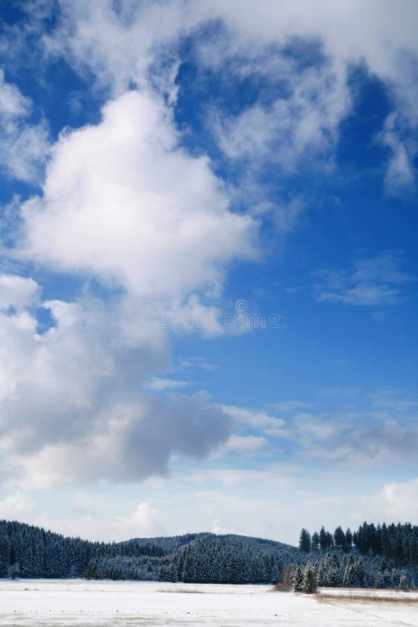 Winter snow and blue sky stock image. Image of frost, trees - 352389