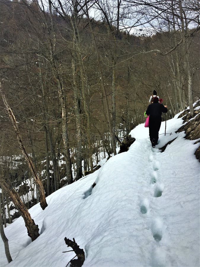 Winter and Snow, Step by Step Stock Photo - Image of moving, calm ...