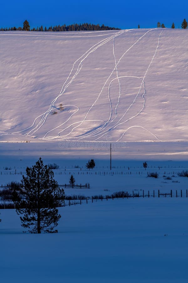 Winter Snow Covered Ridge with Snowmobile Trails Stock Image - Image of mountain, forest: 317077011