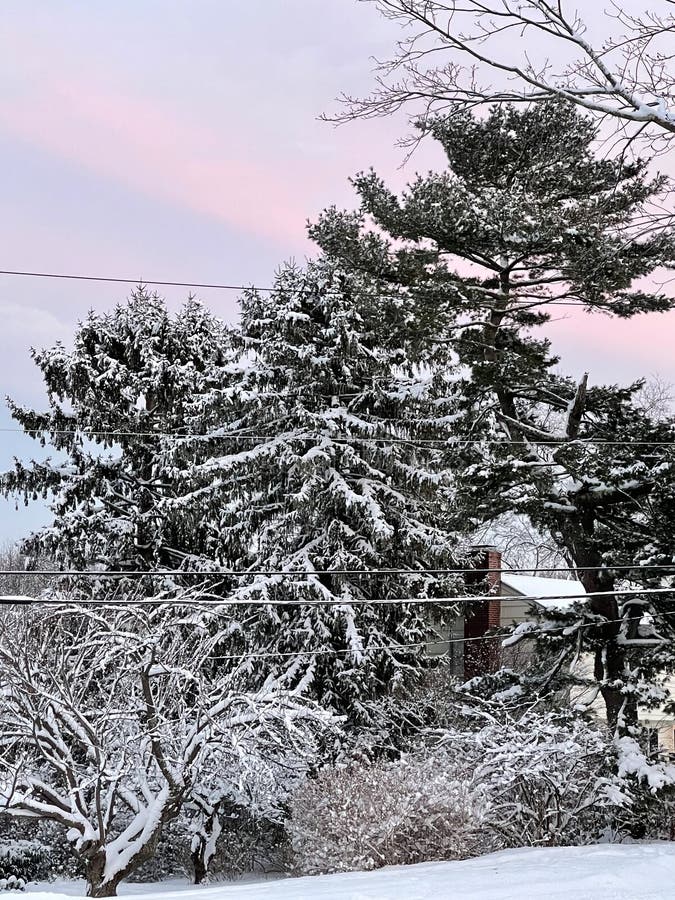 Winter Snow Day in Connecticut Stock Image - Image of pristine, evening ...