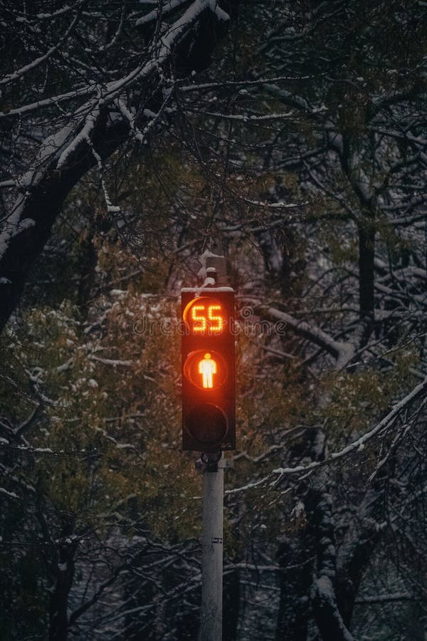 Traffic Light Red Colour, Closeup, Trees Stock Image - Image of traffic ...