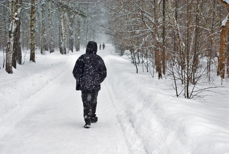 Winter snow fall walk stock image. Image of climate, color - 15528207
