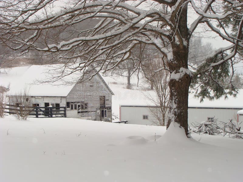 WINTER SNOW on the FARM stock photo. Image of farm, beautiful - 24812690