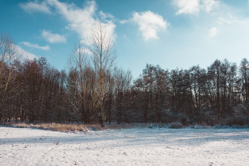 Winter Snow on a Farm Pasture Stock Image - Image of outdoors ...