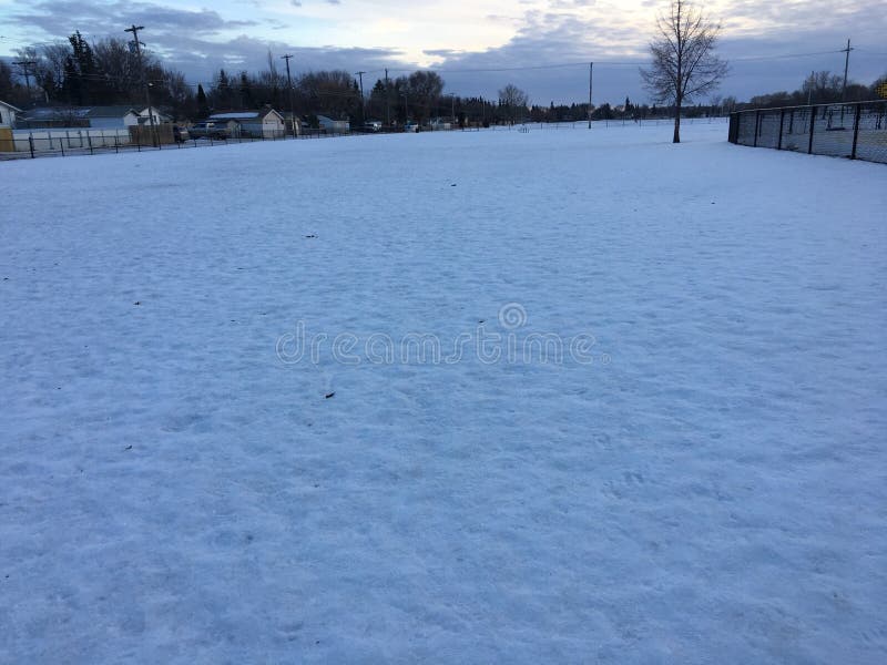 Winter snow in the field stock image. Image of field - 106177749