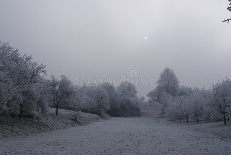 Winter, Snow, Fog, Freezing Picture. Image: 112842454