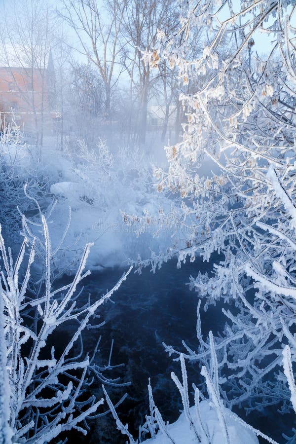 Winter Snow Forest River Landscape. Forest River in Winter. Winter ...