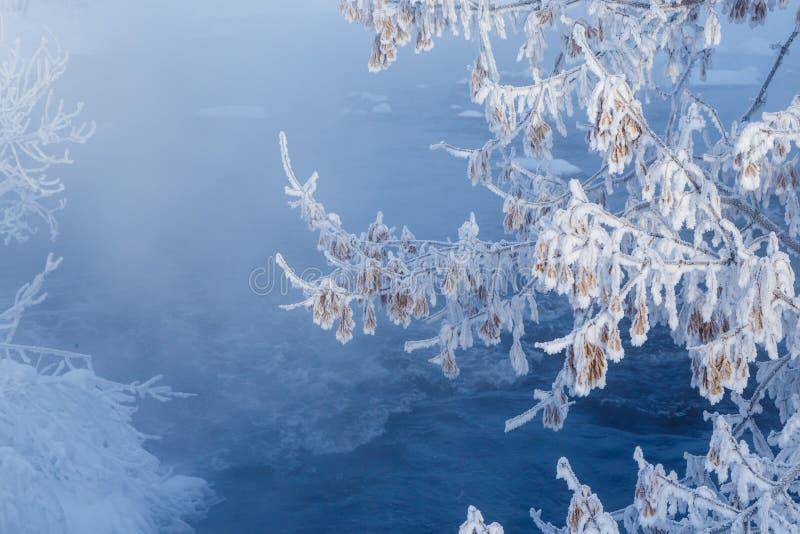 Winter Snow Forest River Landscape. Forest River in Winter. Winter ...