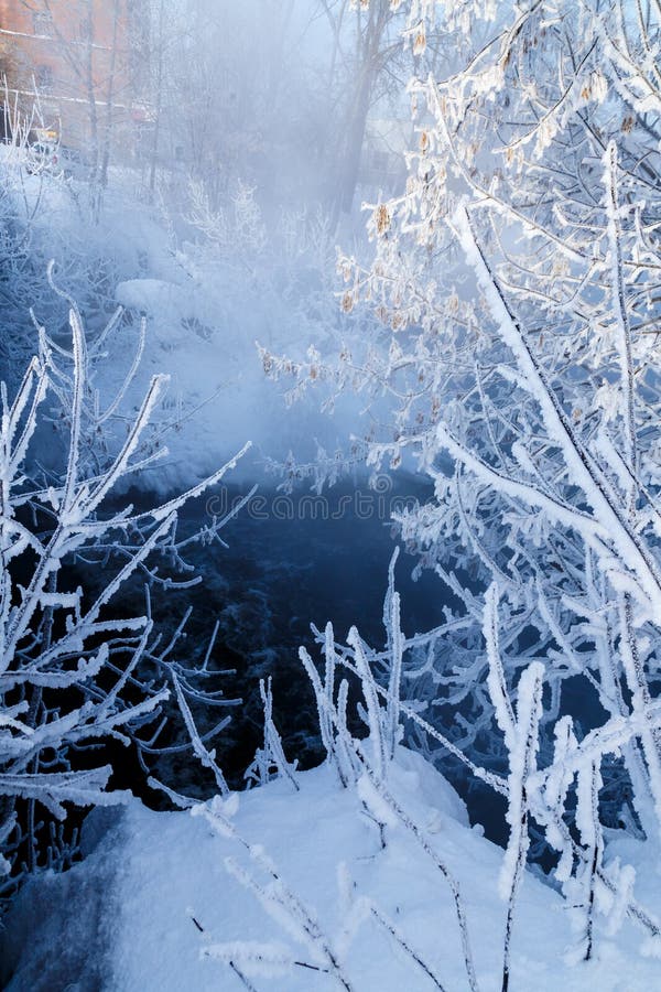 Winter Snow Forest River Landscape. Forest River in Winter. Winter ...