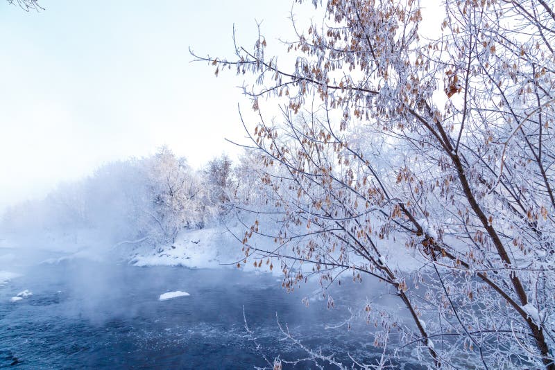 Winter Snow Forest River Landscape. Forest River in Winter. Winter ...