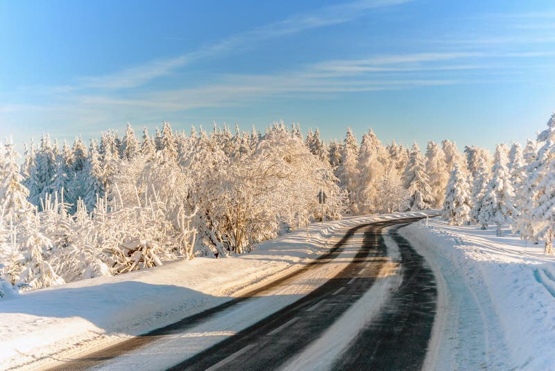 Winter Snow Forest Road Trees Sunrise Sunset Stock Photo - Image of ...