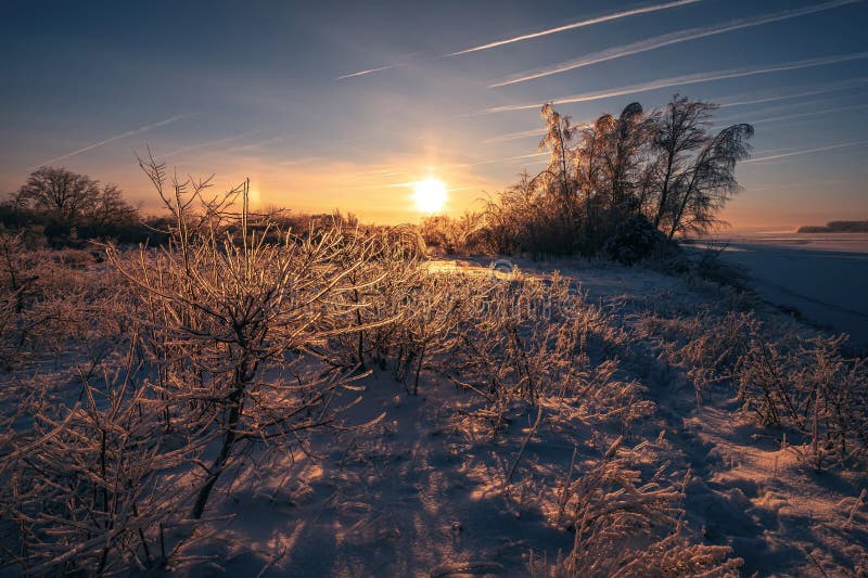 Winter Snow Forest at Sunrise. Trees in Ice at Dawn. Trees after ...