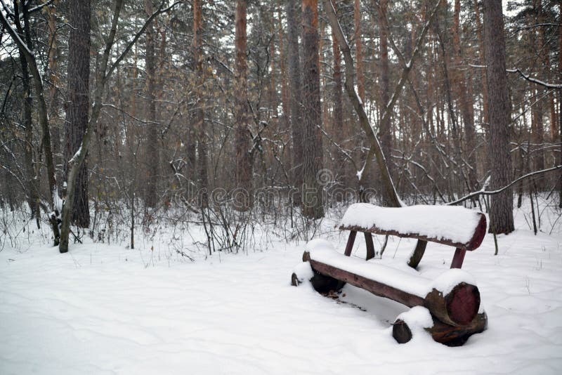 Winter, Snow, Forest, Trees, Bench Stock Image - Image of bench, park ...