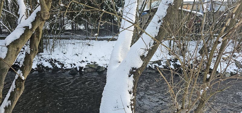 Winter Snow Forest View of the River. Winter Forest Landscape. Snow ...