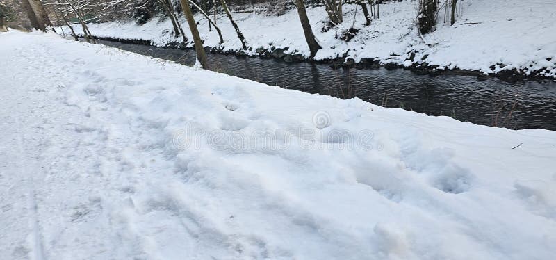 Winter Snow Forest View of the River. Winter Forest Landscape. Snow ...