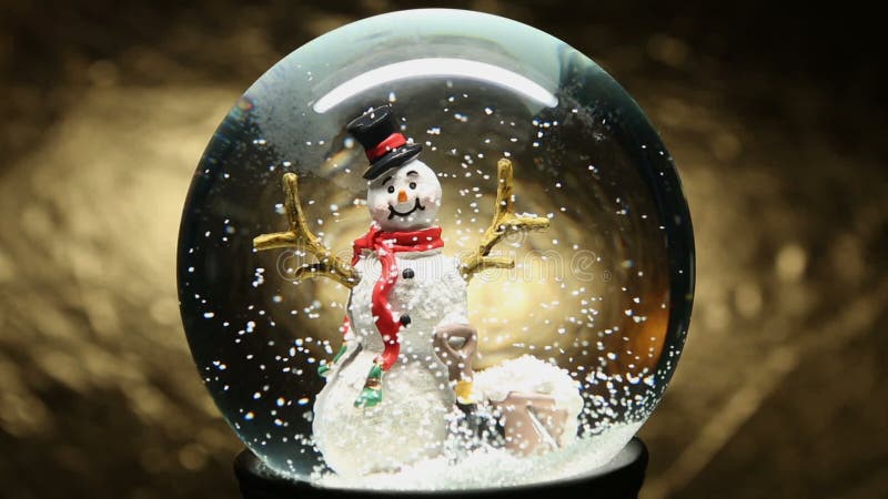 A Snow Globe with a House and Trees Inside Stock Video - Video of ...