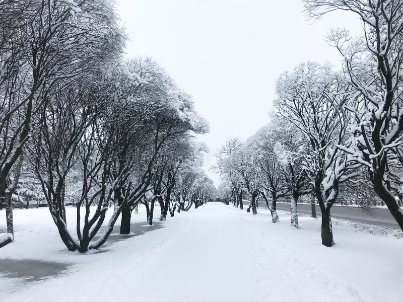 Winter, Snow, Freezing, Fun Picture. Image: 91631469